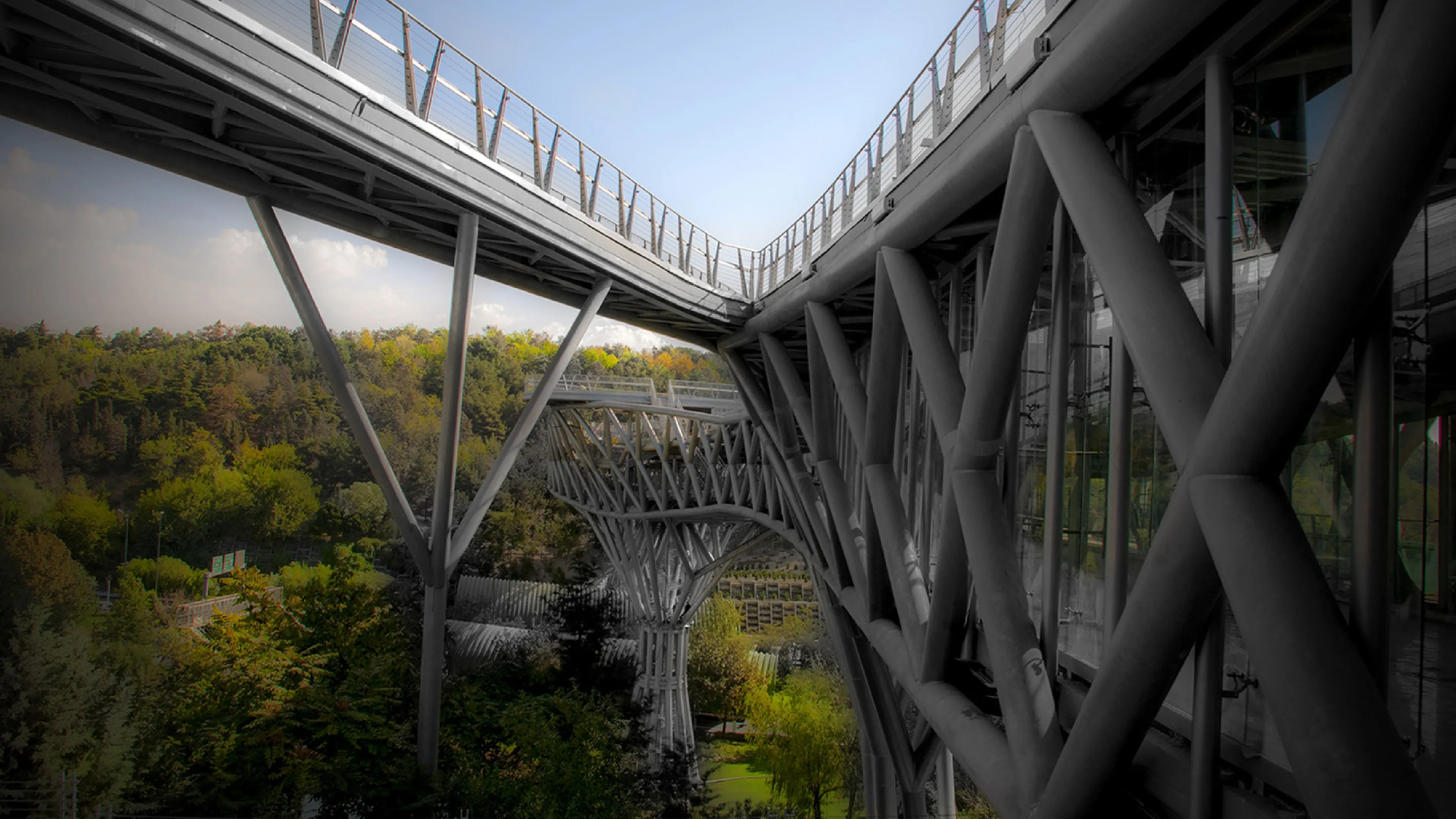 SHARED GROUND - CONSEIL+ARCH